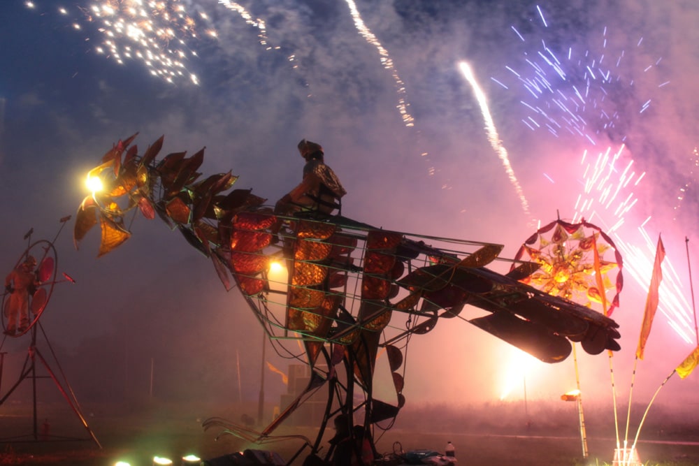 Firebird | Roaming Giant Carnival Puppet | Giant Walkabout Bird