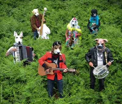 Book Dog Band | Comedy Band for Hire | Joogleberry Entertainment