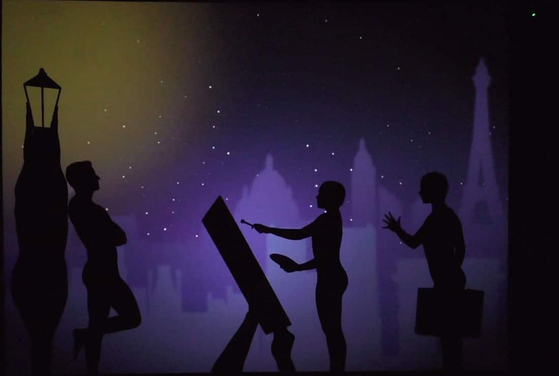 Connect Shadow Show | Book Shadow Show | Wow Factor Show